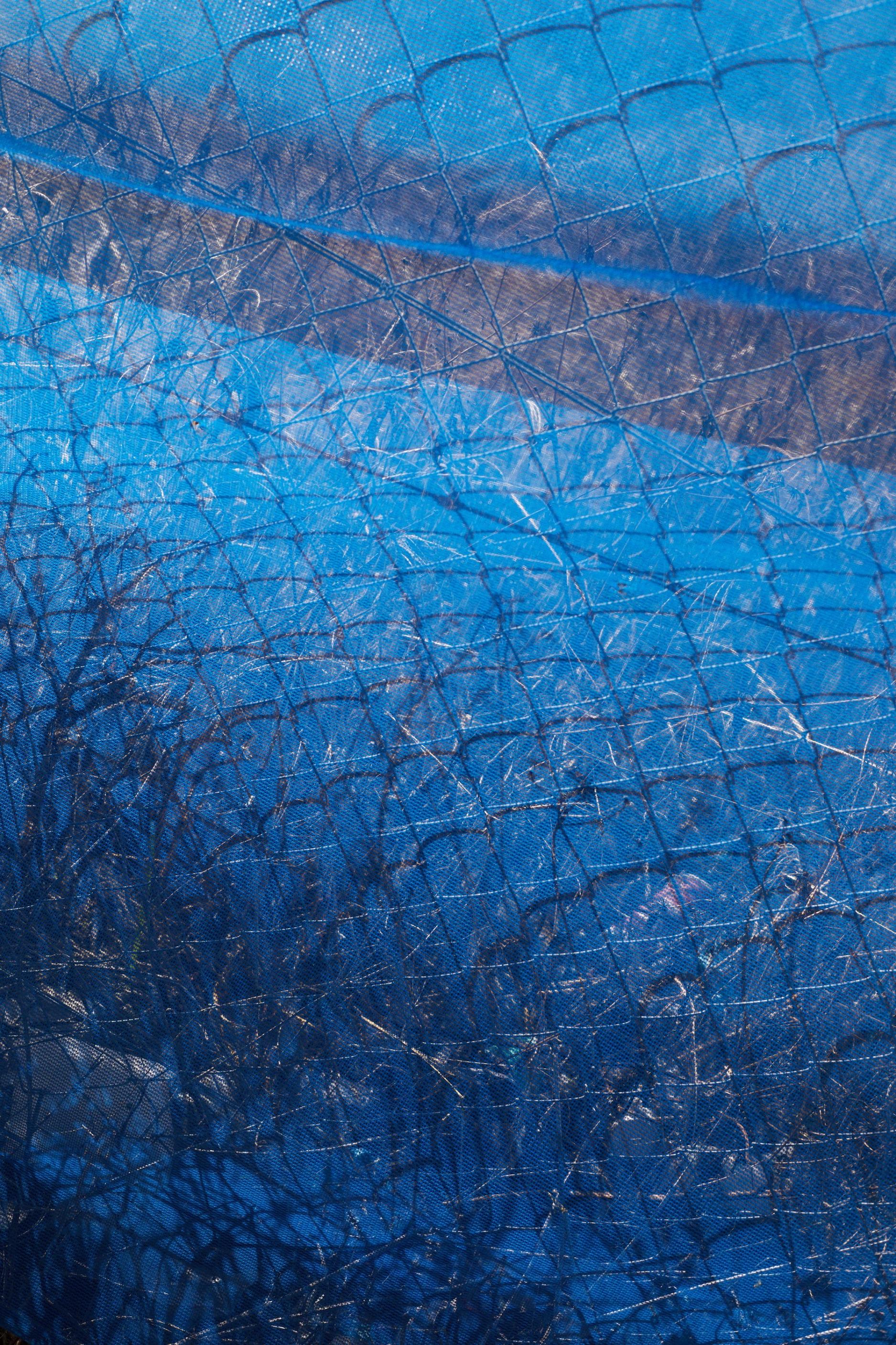 Powerhouse Museum - Walking Backwards by Fiona Murphy