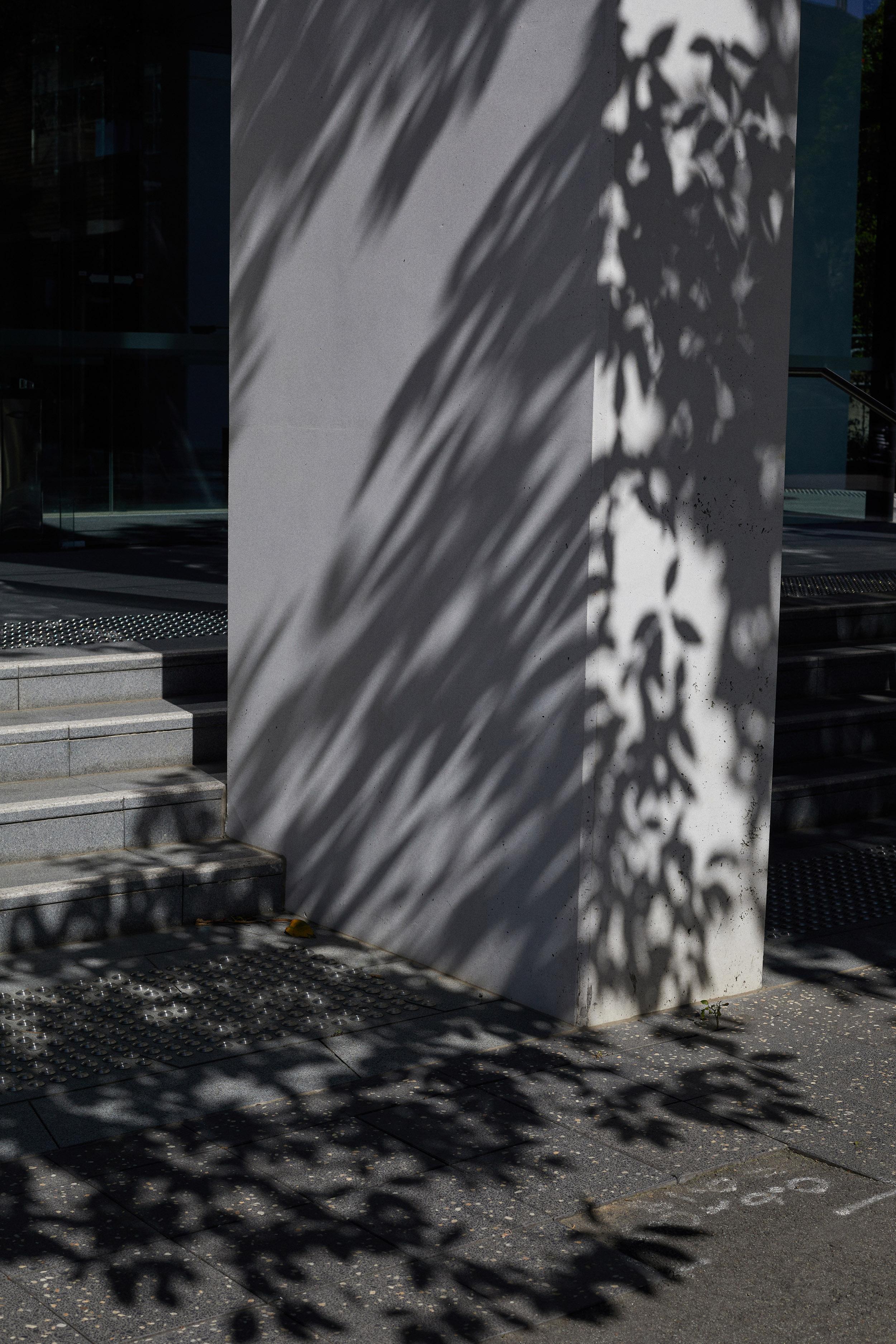 Powerhouse Museum - Walking Backwards by Fiona Murphy