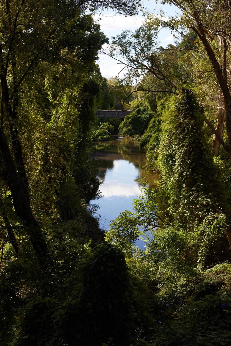 Powerhouse Museum - Walking Backwards by Fiona Murphy