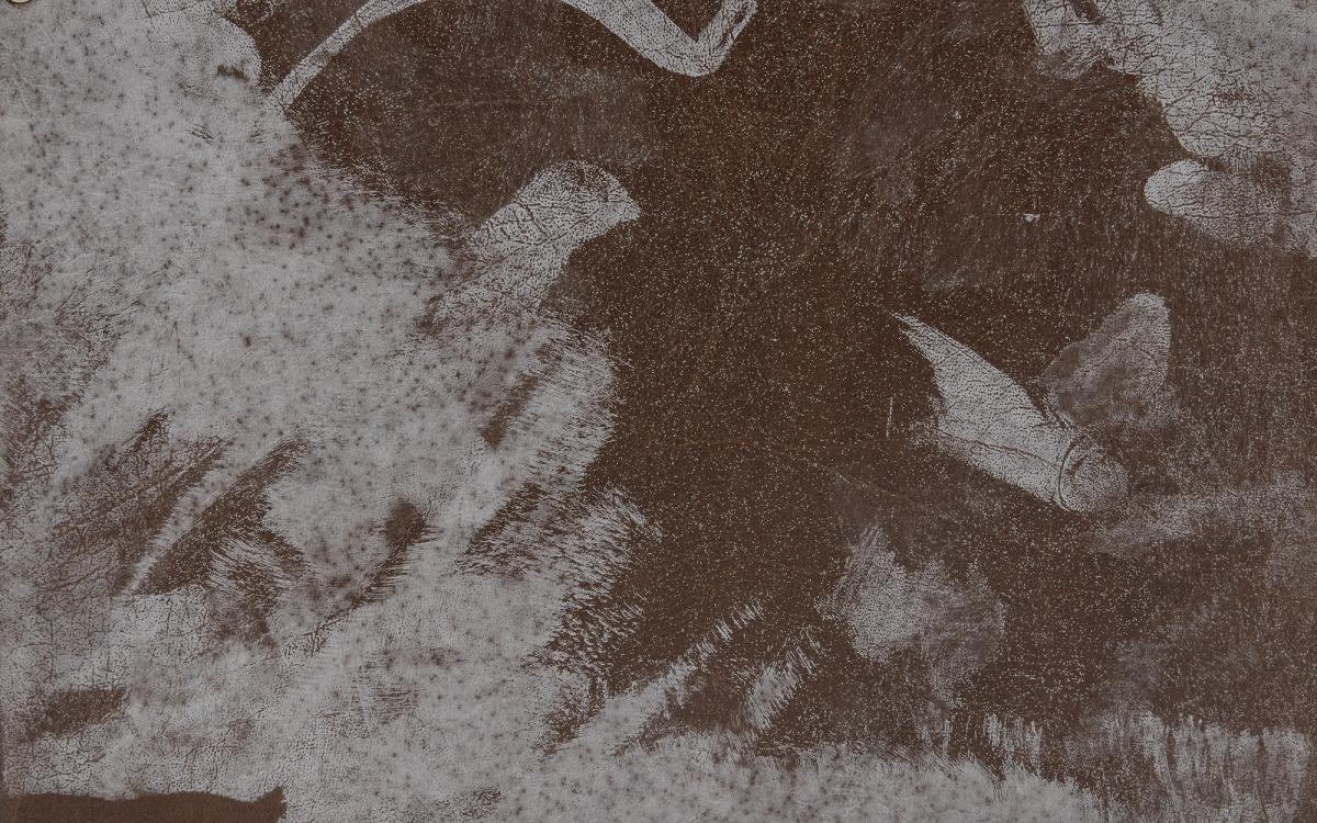 Powerhouse Museum - Understanding Alzheimer’s