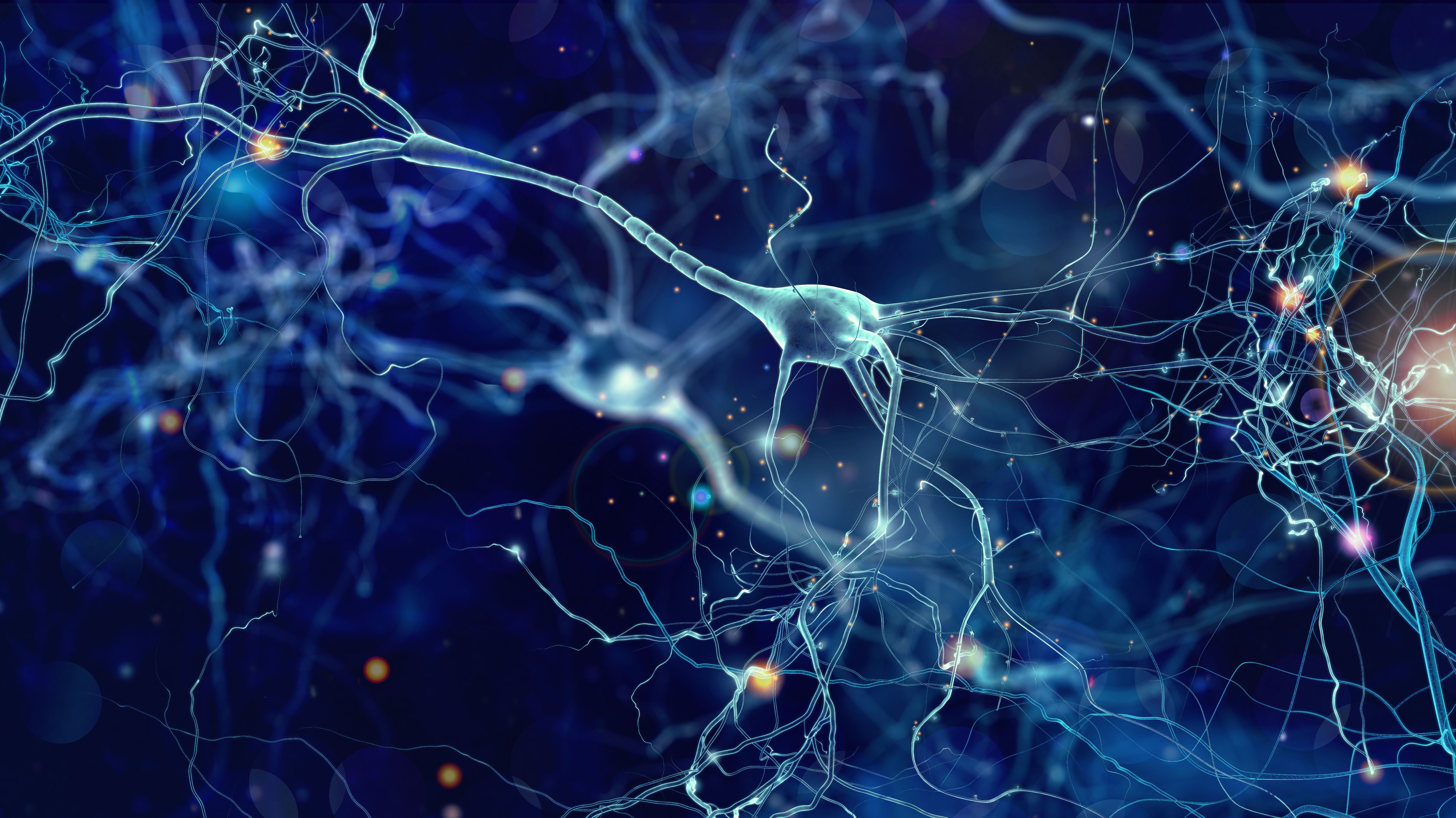 Brain Mapping Solutions: Unraveling the Cognitive and Behavioral ...