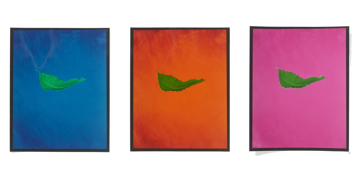 The Color Cult | 032c