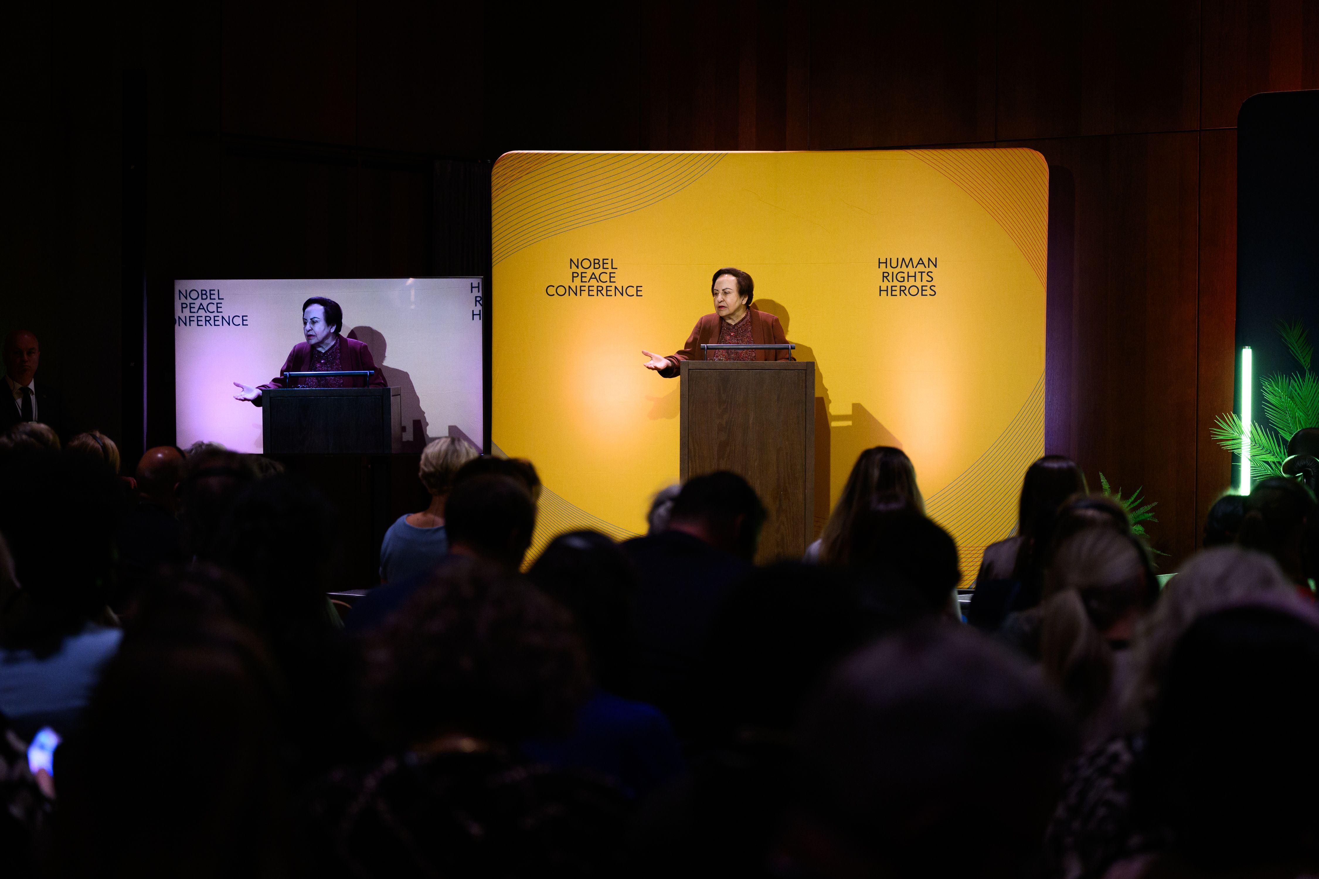 Nobel Peace Conference and Festival 2023: HUMAN RIGHTS HEROES | Nobel ...