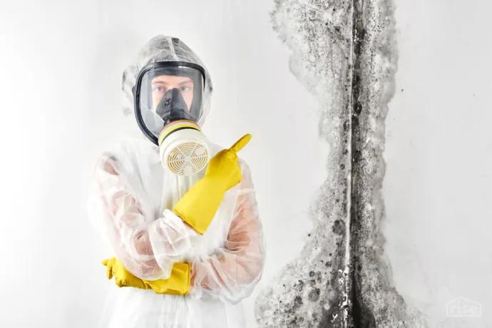 “Mold Inspection in NYC: When Should You Call a Professional ...