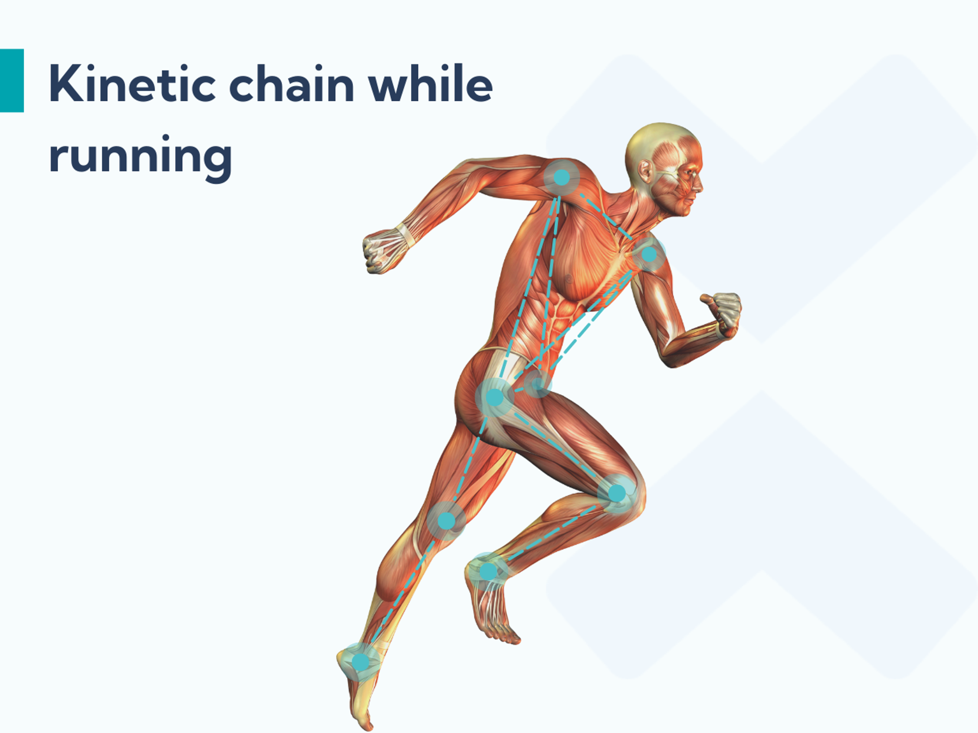 Hip exercises for Plantar Fasciitis: How they can help your heel pain