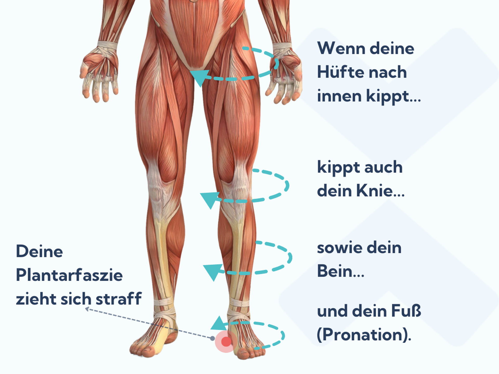 Fsse Und Beine Schmerzen