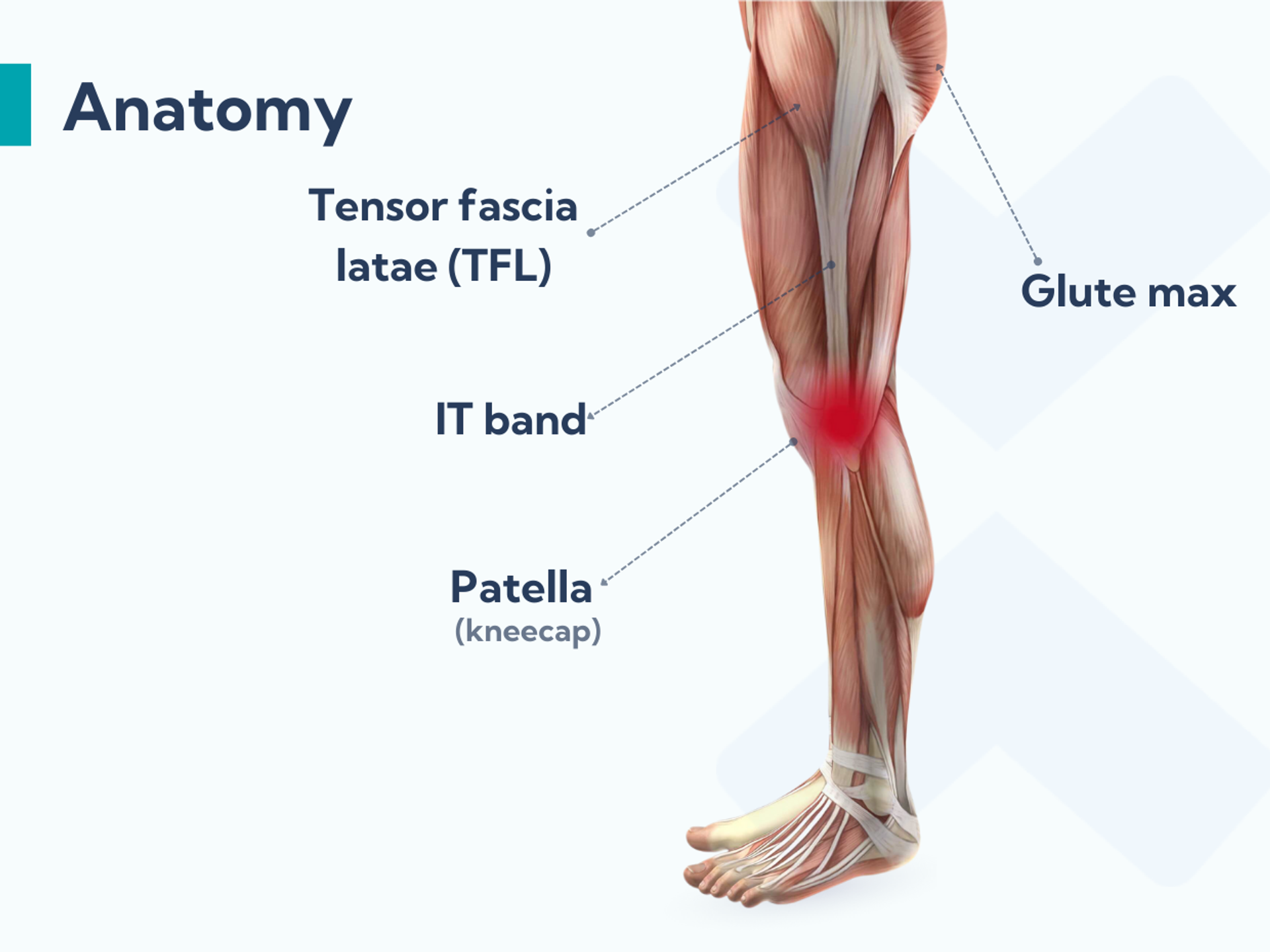The 5 best patellofemoral pain syndrome stretches to support your recovery