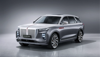 Chinese cars - E-Motors Georgia