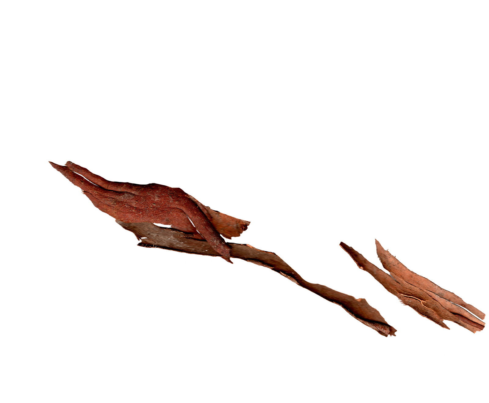 Dylan Finney | Solid Lines