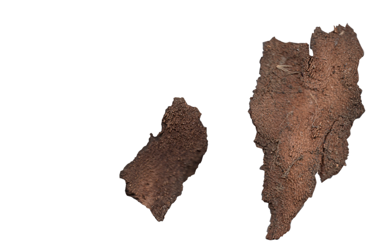 Dylan Finney | Solid Lines