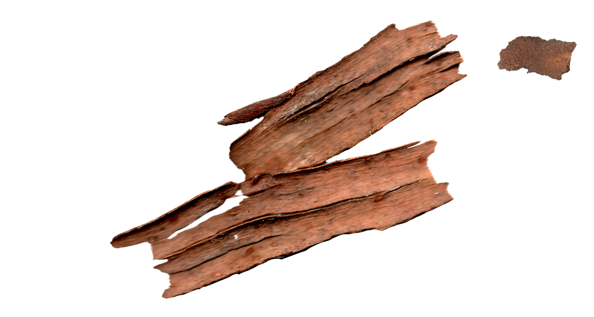 Tyrown Waigana | Solid Lines