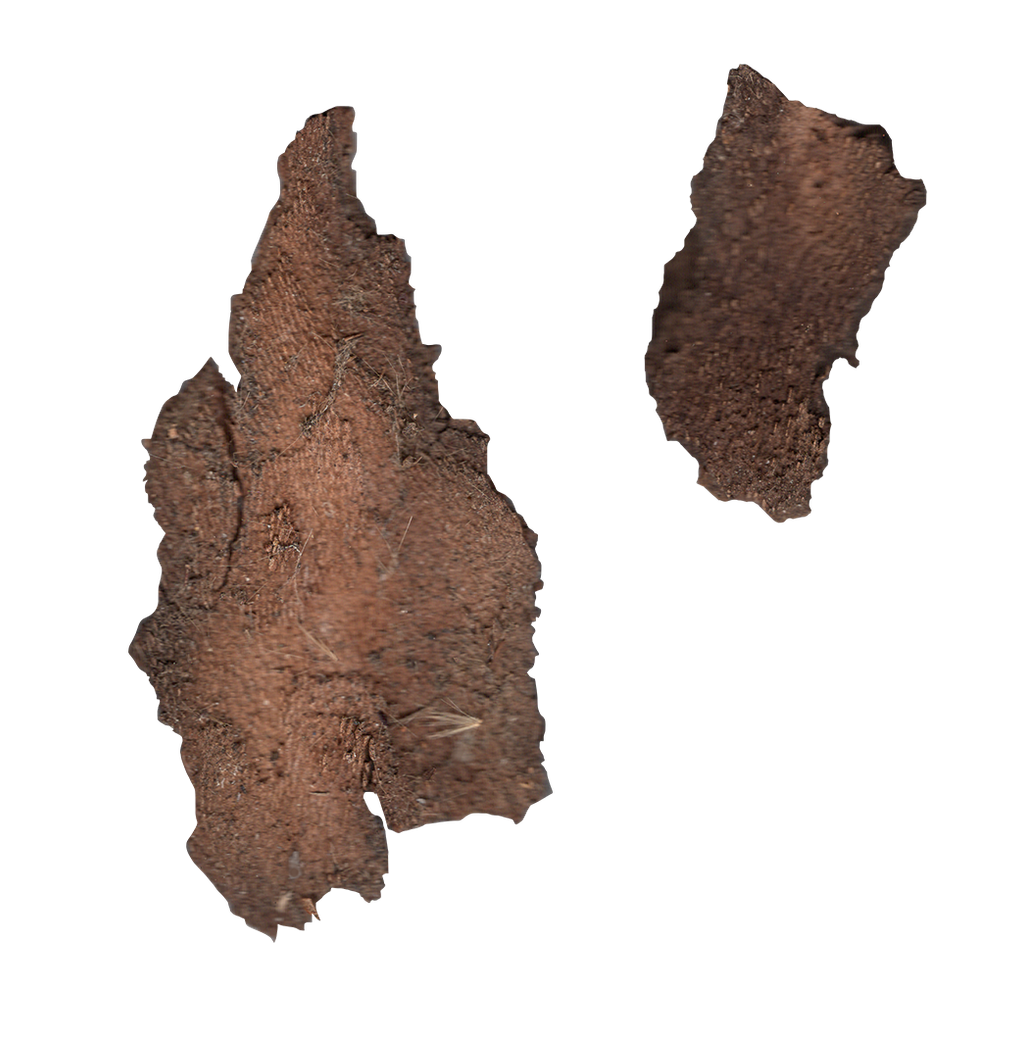 Tyrown Waigana | Solid Lines