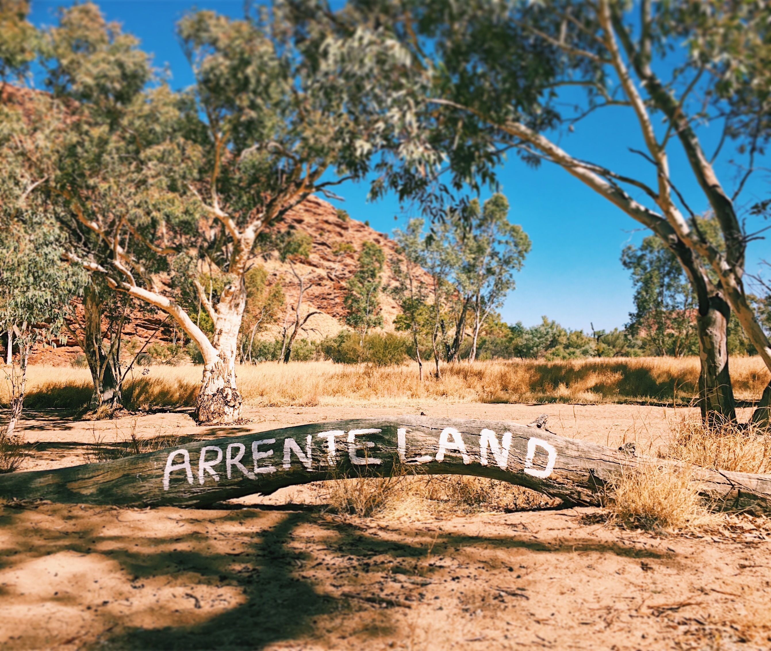 About our Agency | Solid Lines