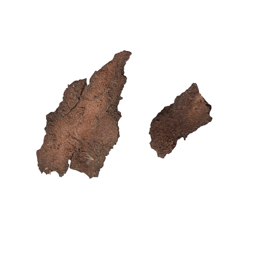 Dylan Finney | Solid Lines