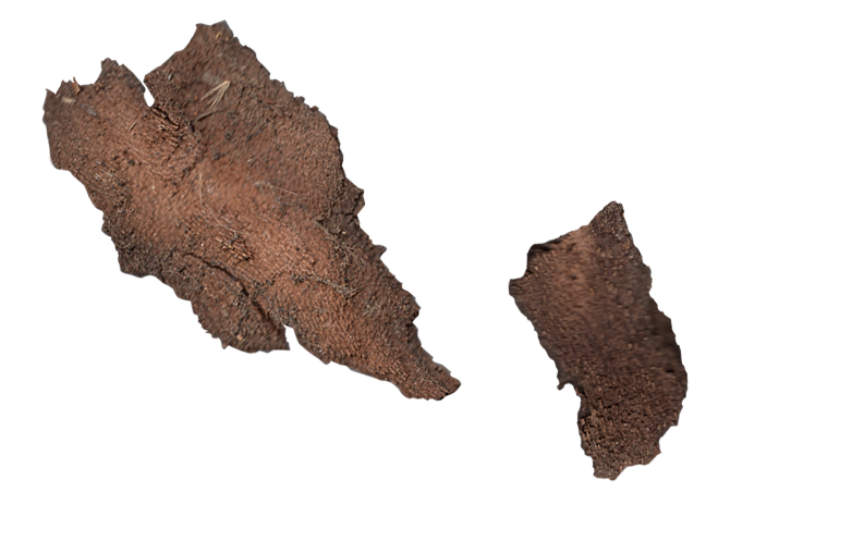 Coree Thorpe | Solid Lines