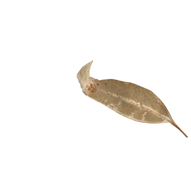 Dylan Finney | Solid Lines