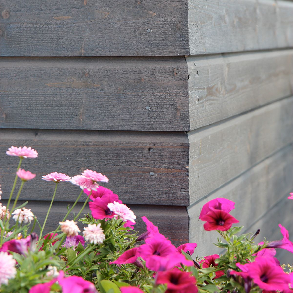 Malt kledning | XL-BYGG