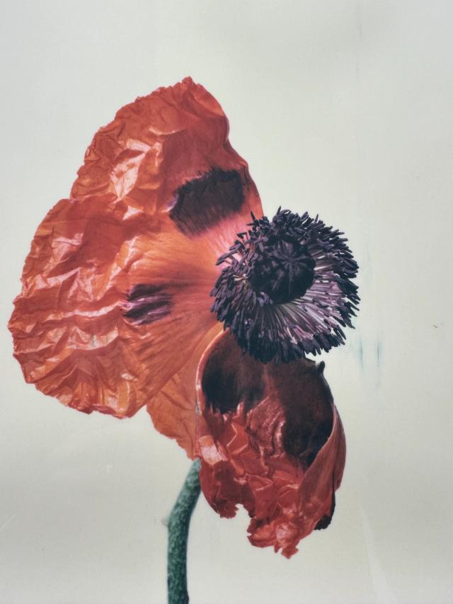 In Defense Of Nostalgia Beyond Noise Beyond Noise