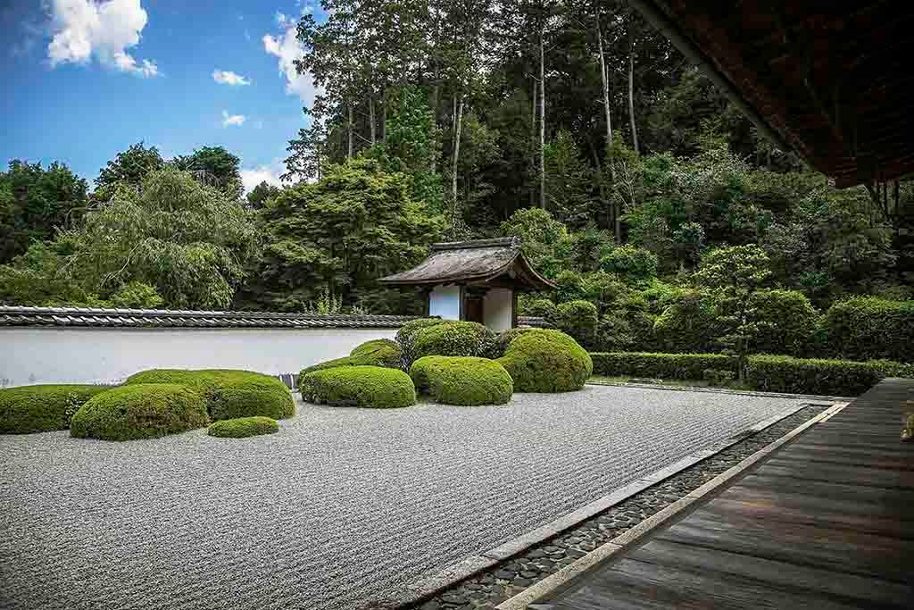 Shodenji Temple: A Must-See Hidden Gem in North Kyoto