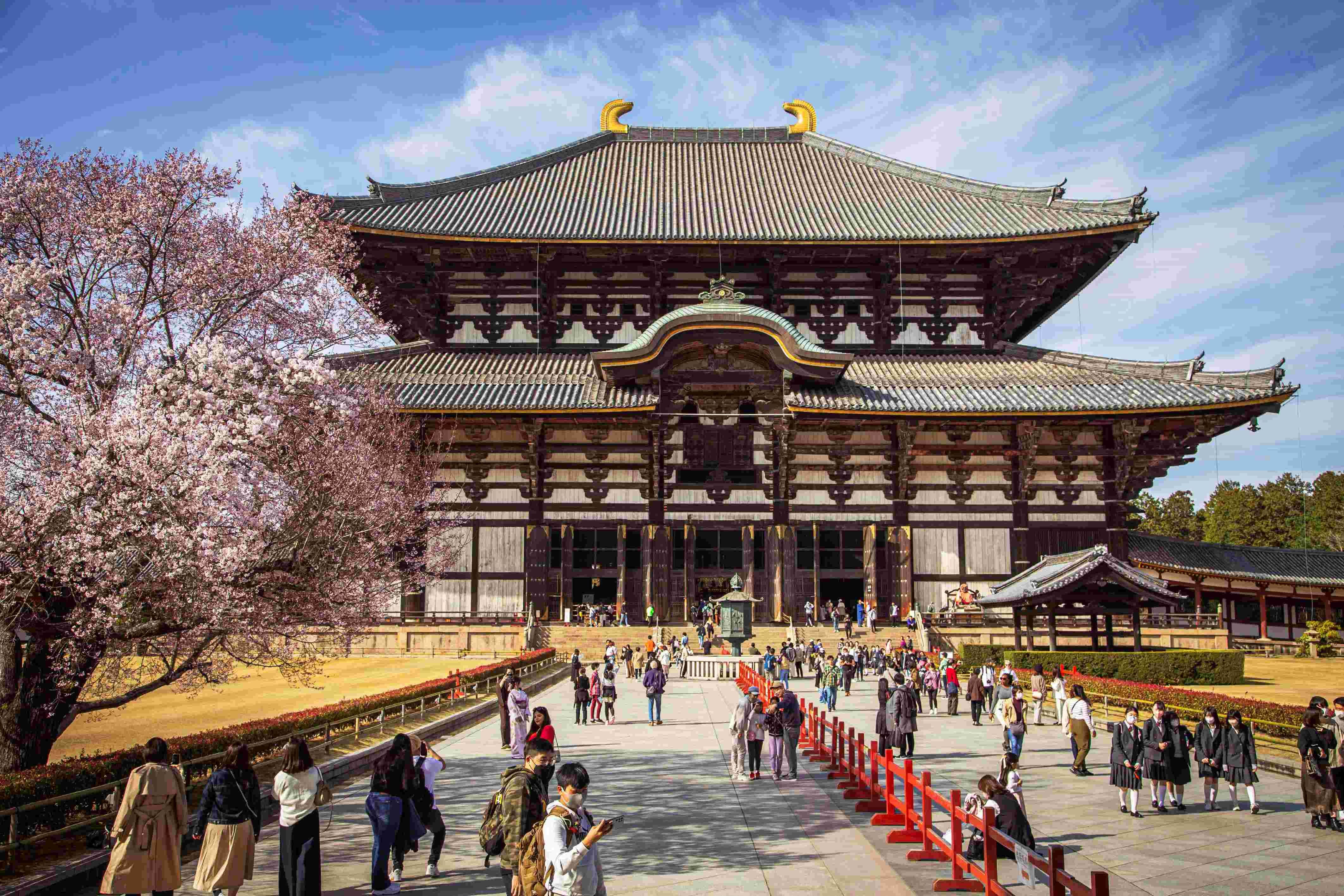 The Ideal One-Day Nara Temple Tour | Romancing Japan