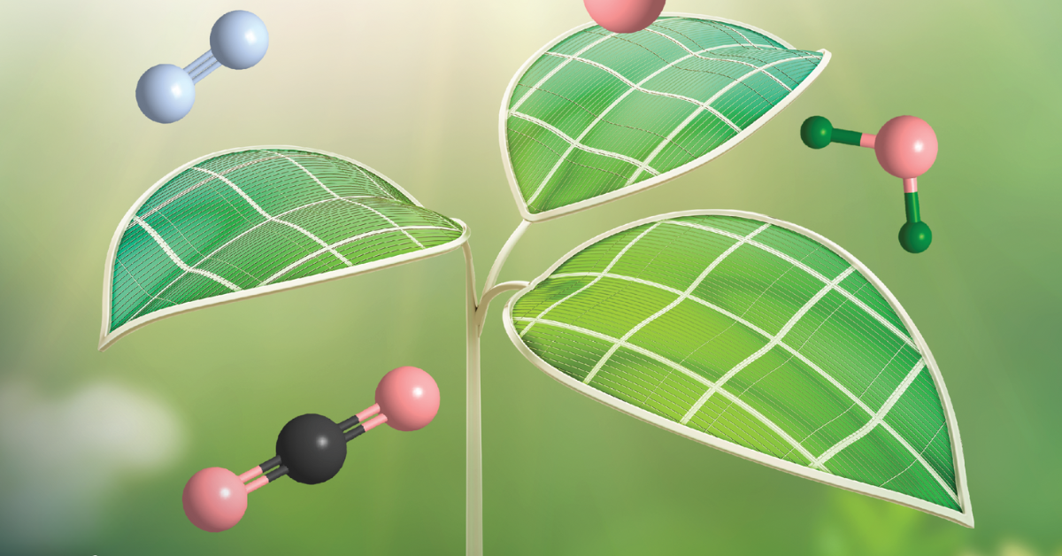 Artificial Photosynthesis is Now Open for Submissions