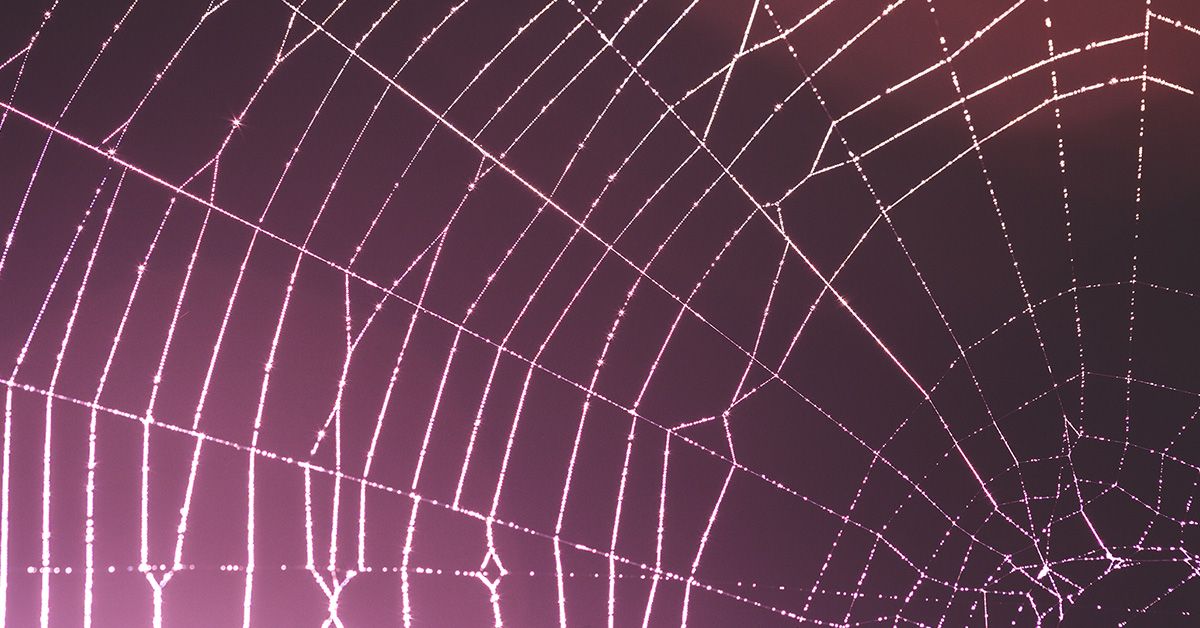 How Artificial Spider Webs Are Weaving New Medical Marvels