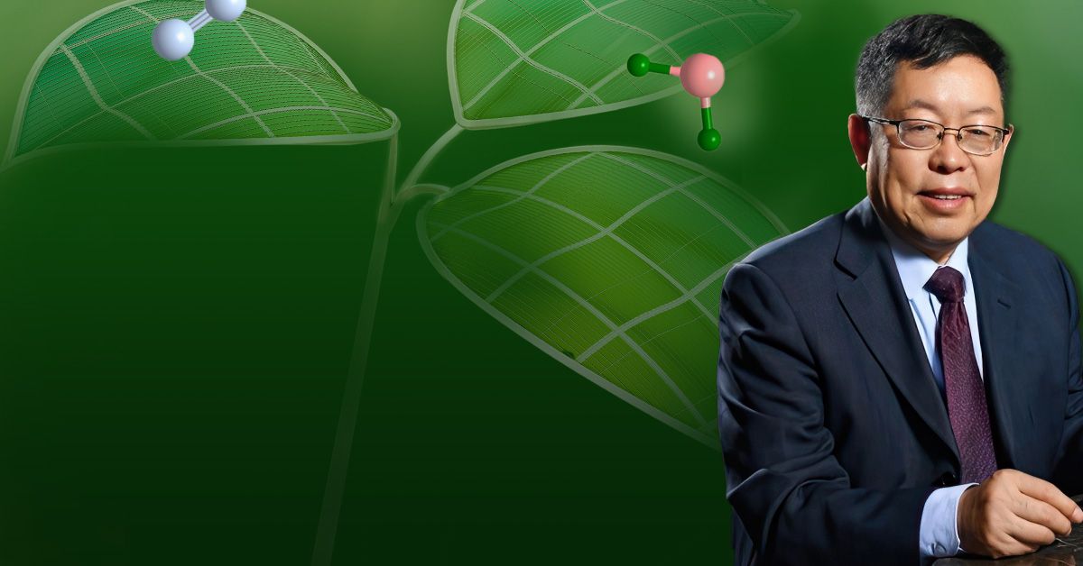 Meet Professor Can Li, Editor-in-Chief of Artificial Photosynthesis