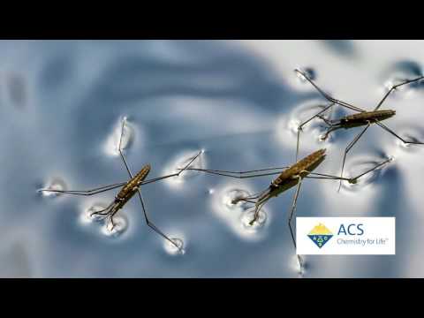 Want the latest stories delivered to your inbox each month?