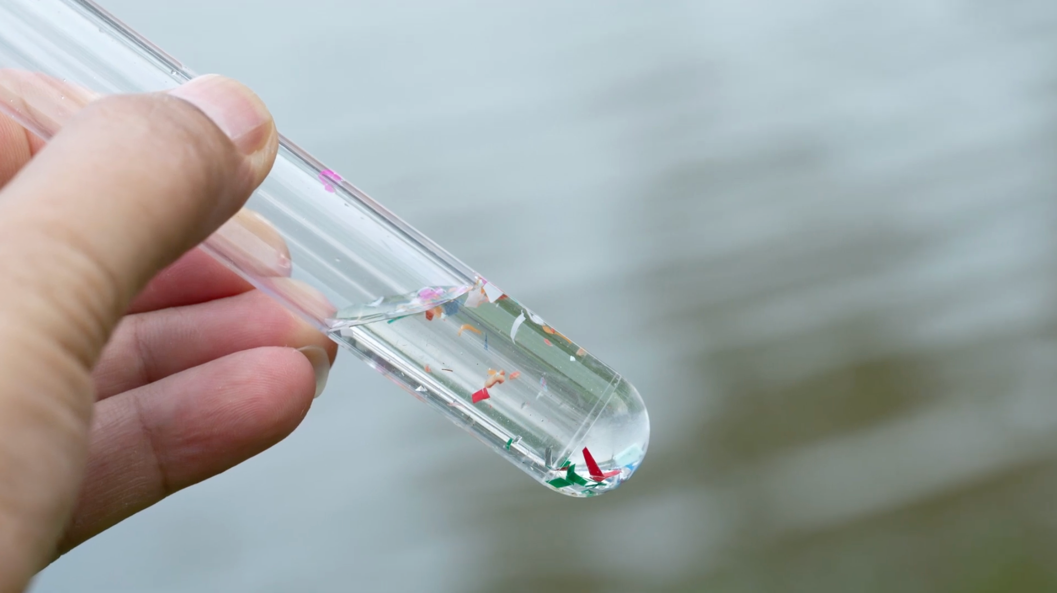 Pulsing ultrasound waves could someday remove microplastics from ...