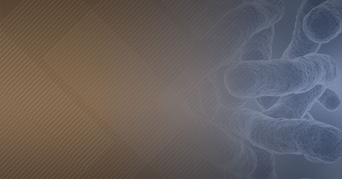 Meet the Winners of the 2024 ACS Infectious Diseases Young Investigator ...