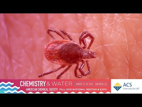 Researchers Fight Ticks By Targeting Their Salivary Glands | ACS ...