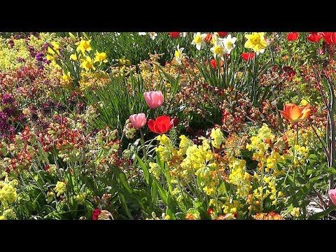 From Compost to Composites: An Eco-Friendly Way to Improve Rubber | ACS ...