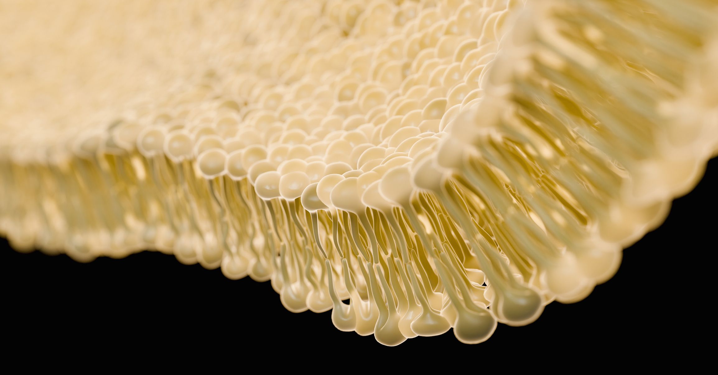 Meet the ACS Sponsored Presenter from the 2026 BPS Thematic Meeting in ...