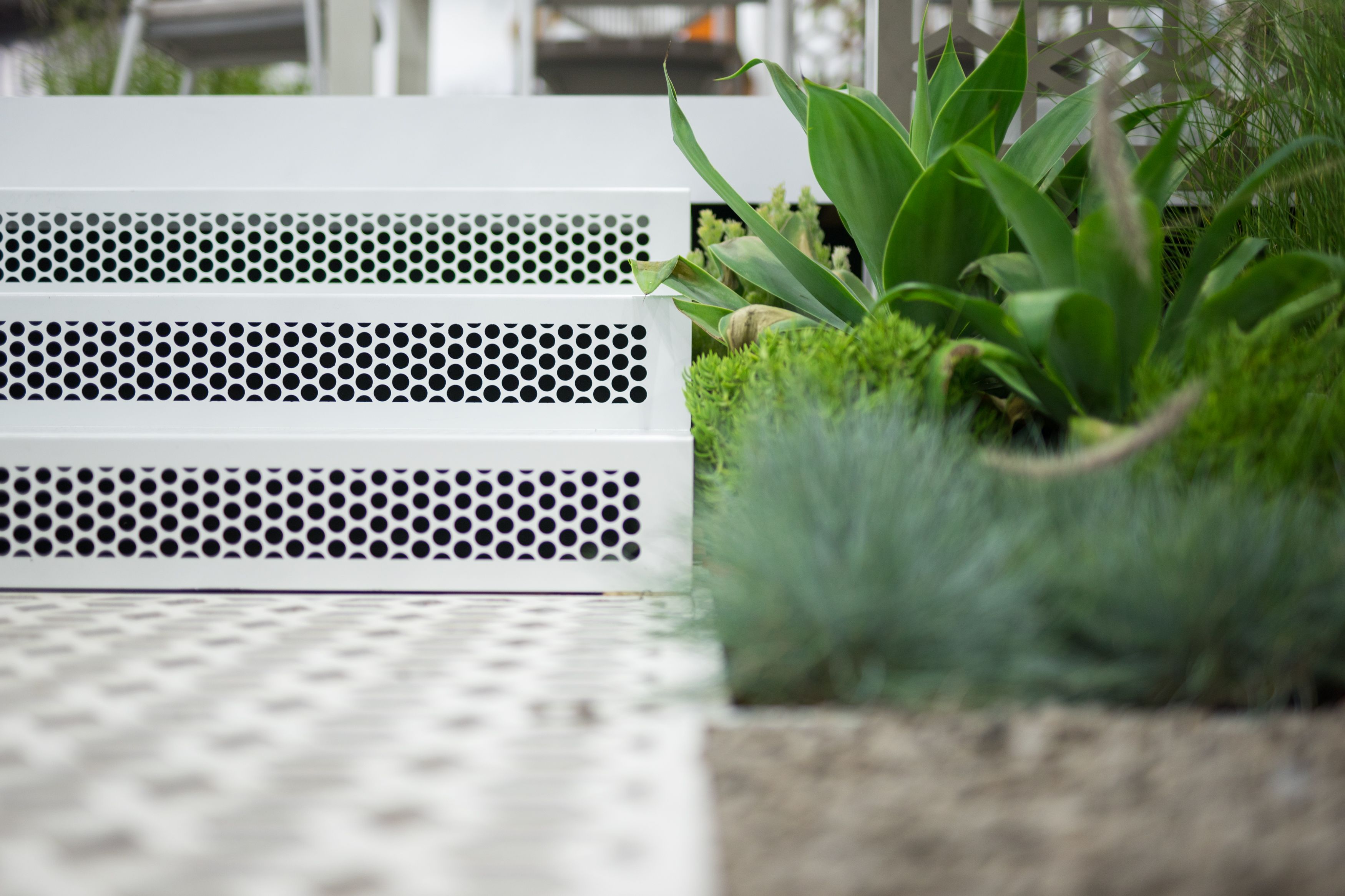 About | Mint Pool and Landscape Design - Design for Living