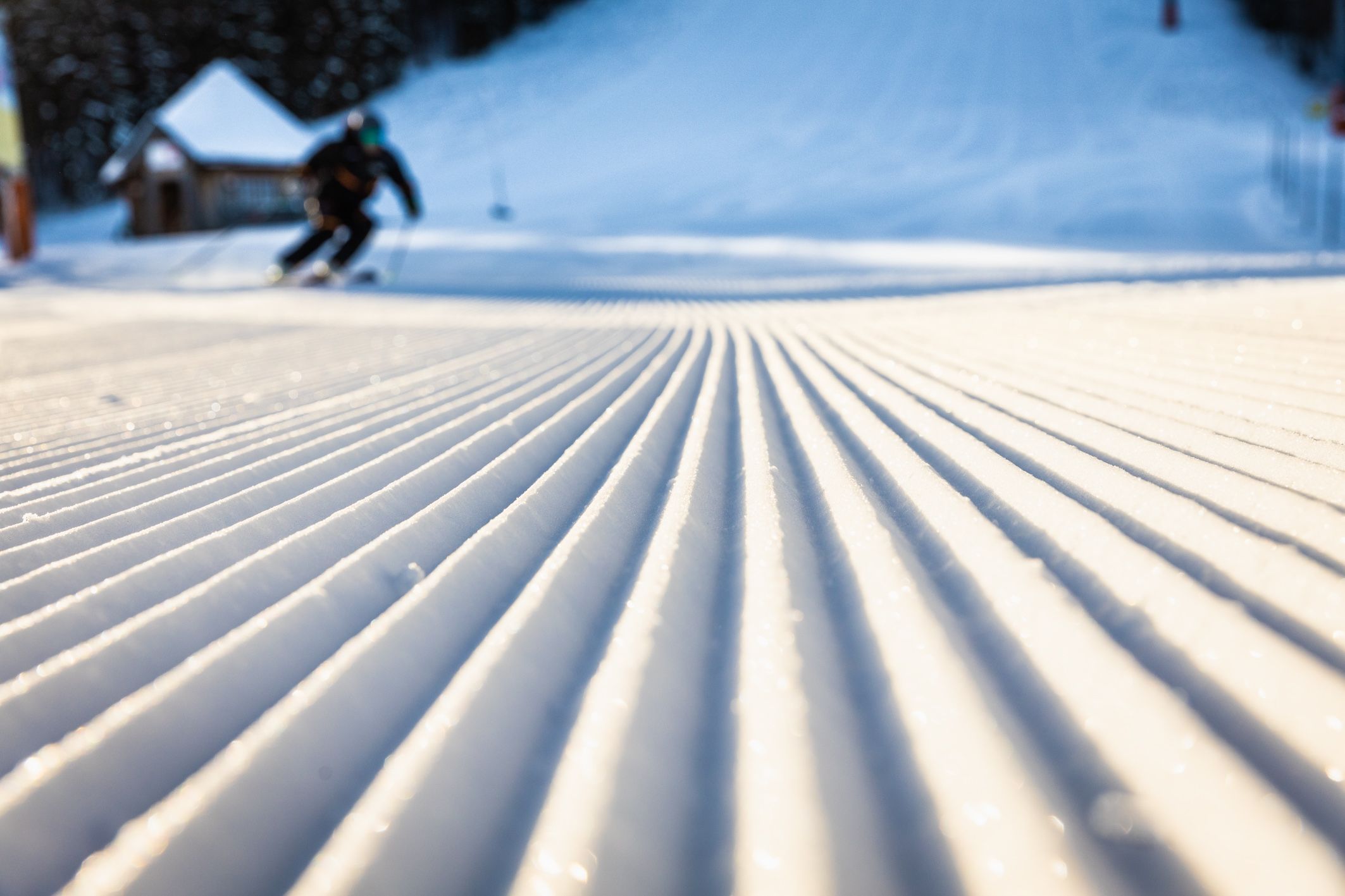 Sunny Card Monday-Friday