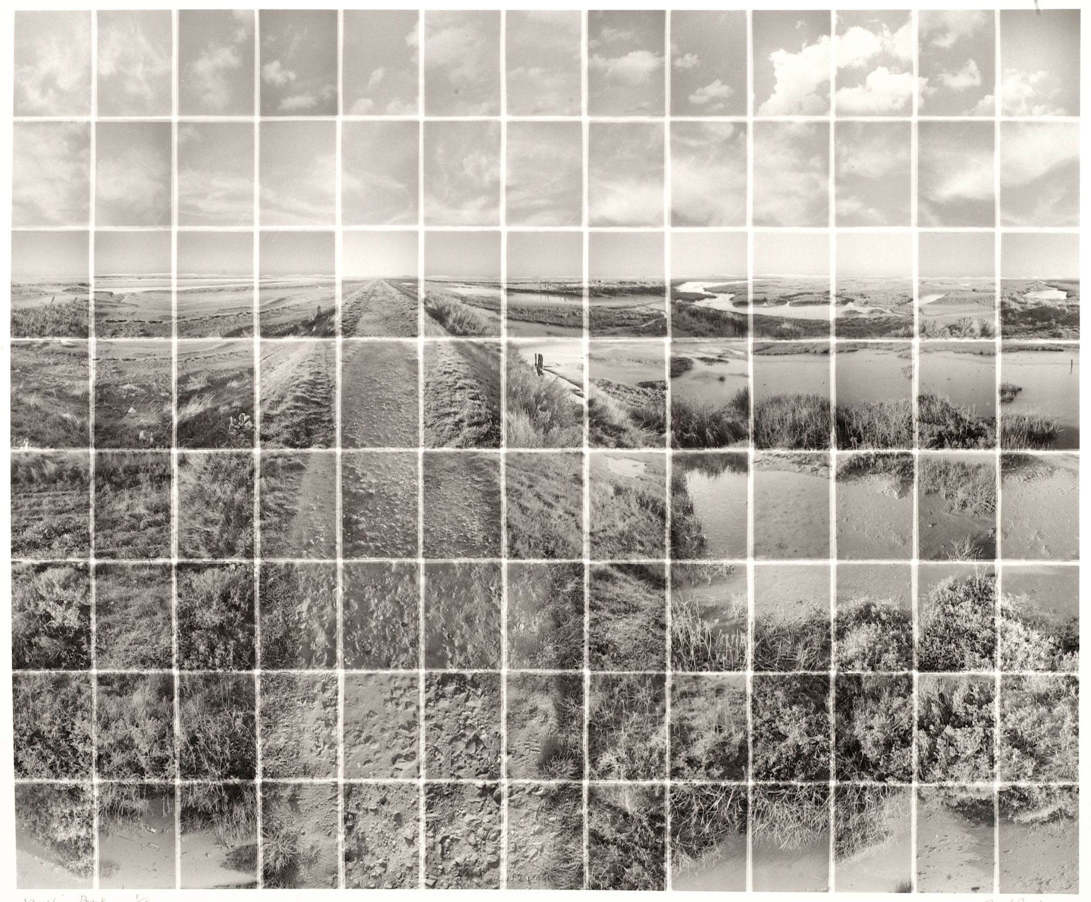 Still Films; Platinum and Palladium Prints - Noel Myles