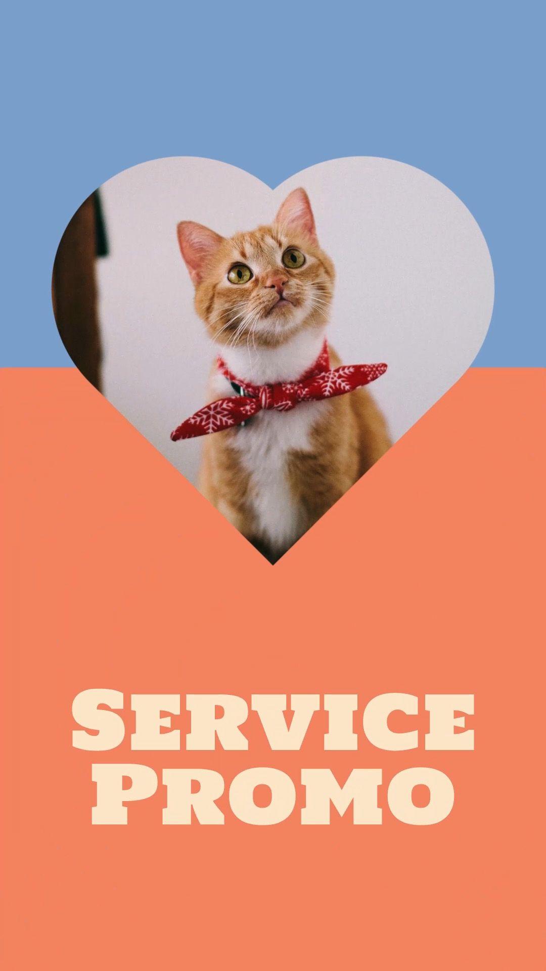 Service Promo - Animoto