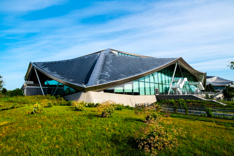 Perks of Working for Google: A Playground for Grownups | Candor