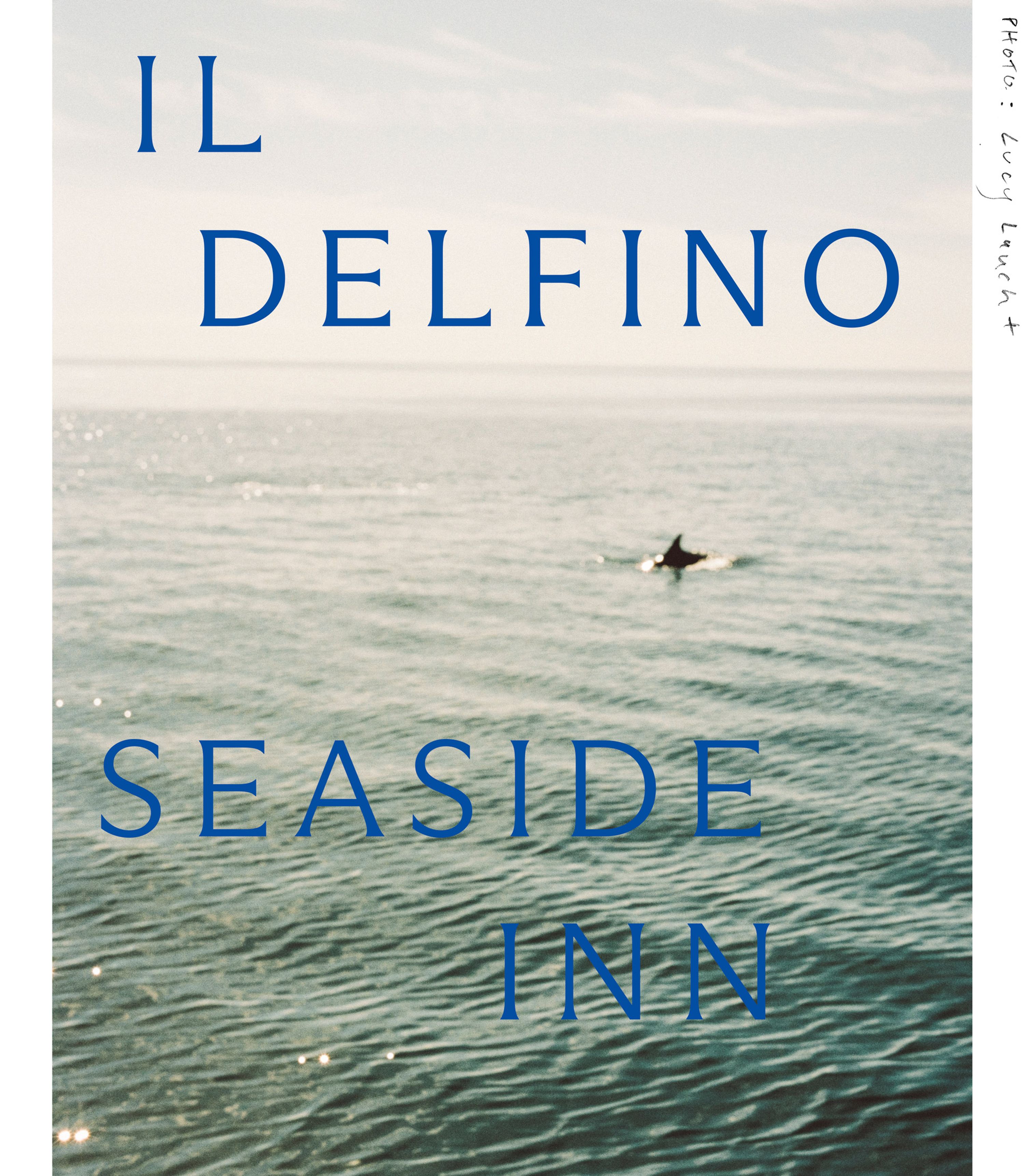 Il Delfino