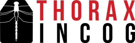 Pages - Haley Strategic Partners