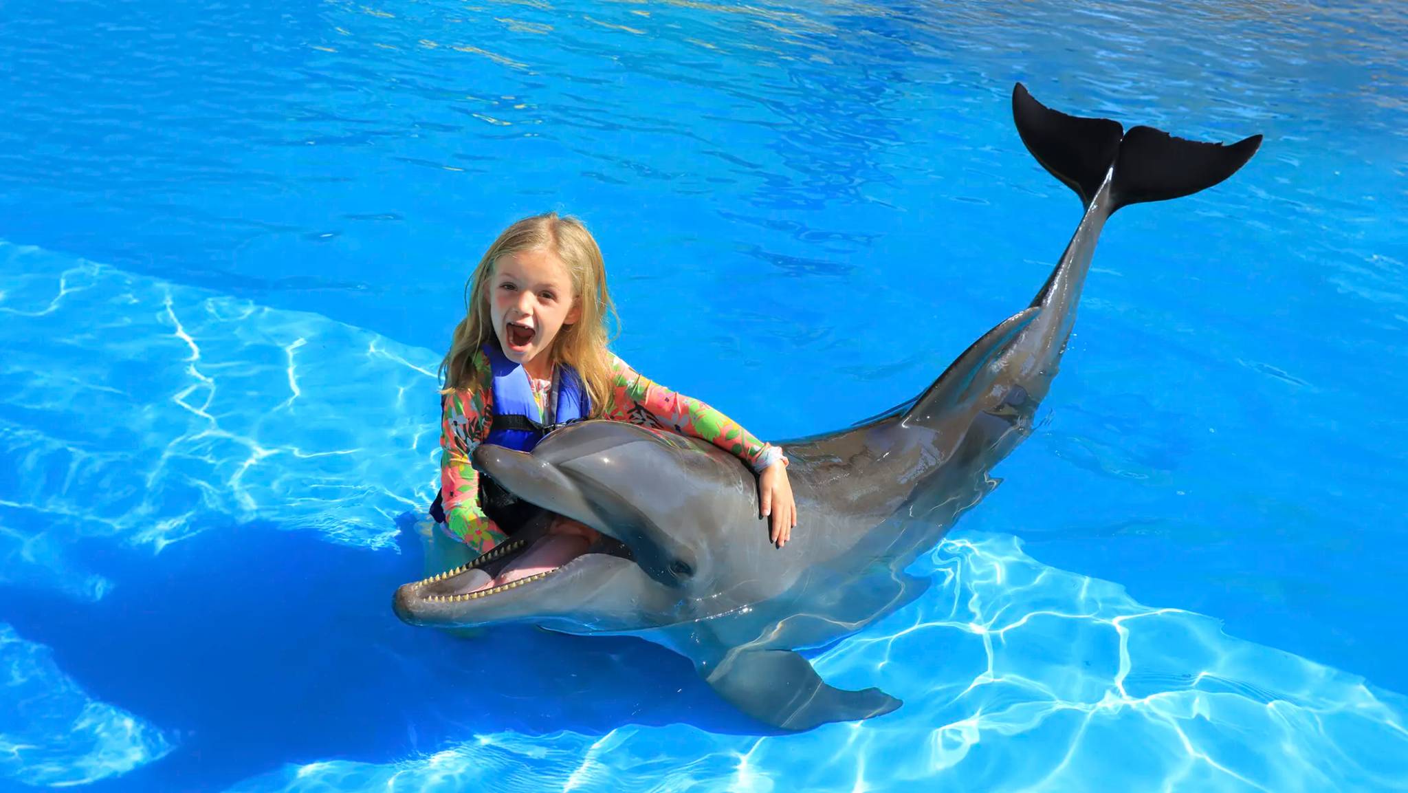 Young girl enjoying a dolphin encounter for kids, one of the best ...