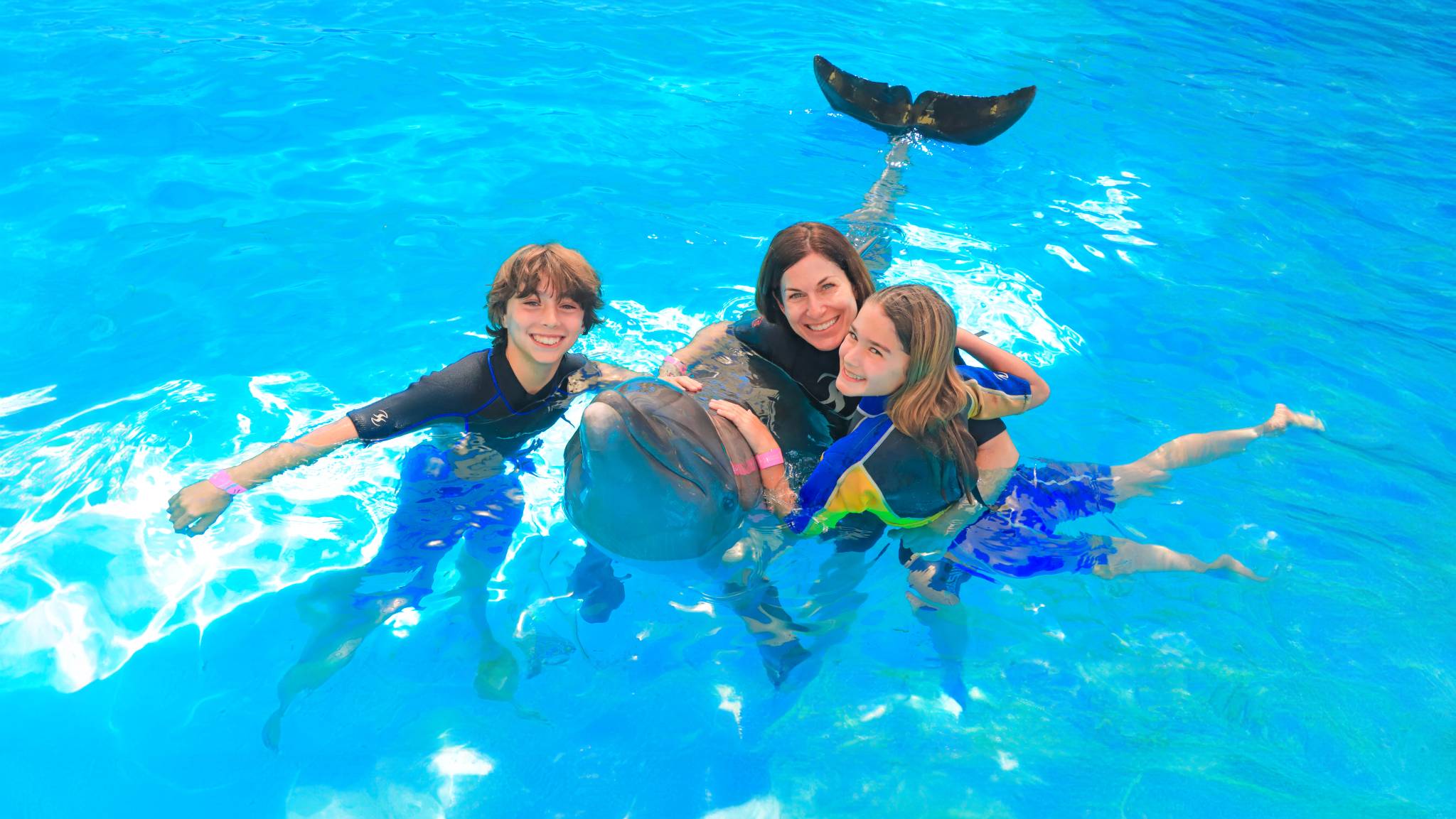 Familia disfrutando momentos felices con un delfín en Puerto Vallarta.