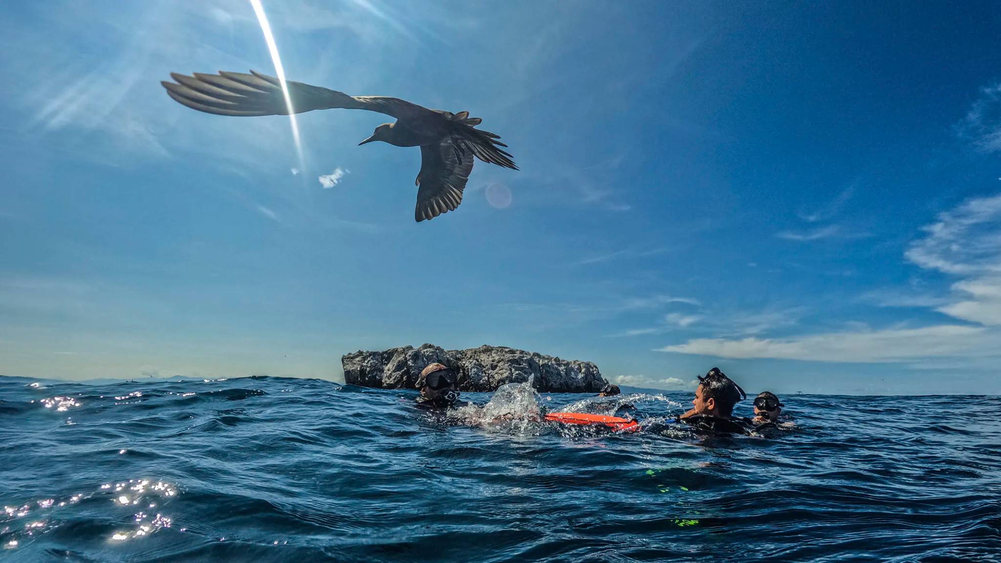 El Morro Scuba Diving