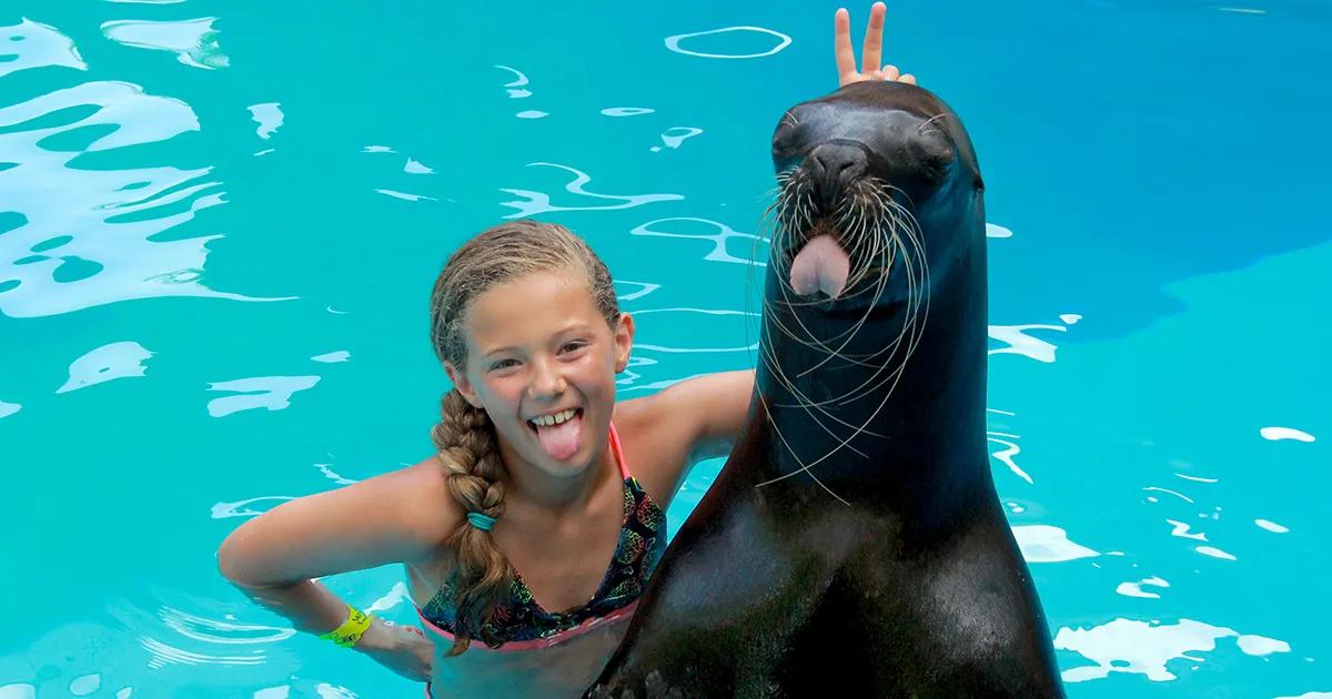 6 Fun Facts About Sea Lions for Kids! | Vallarta Adventures