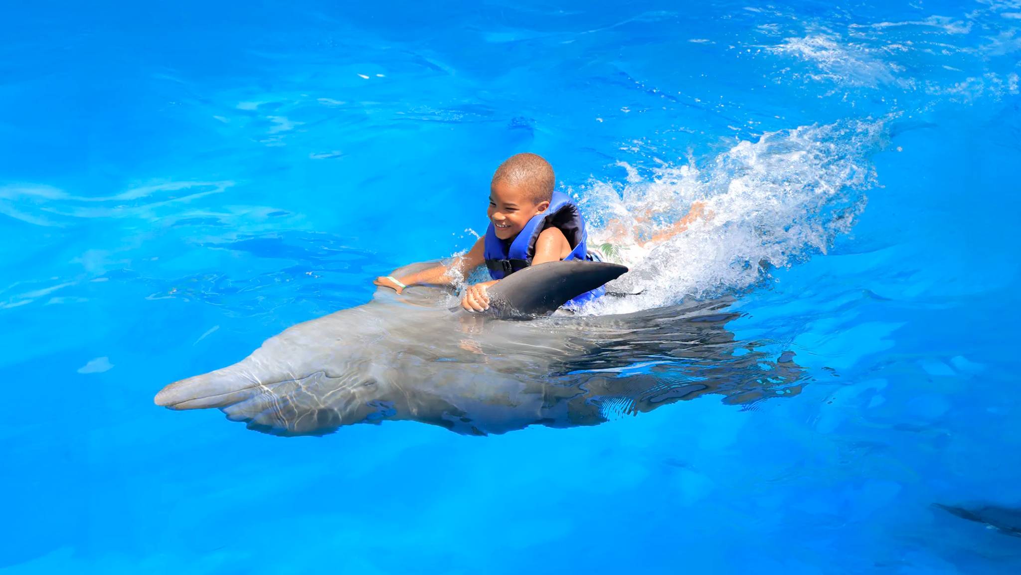 Kid having fun on a dolphin ride in Puerto Vallarta.
