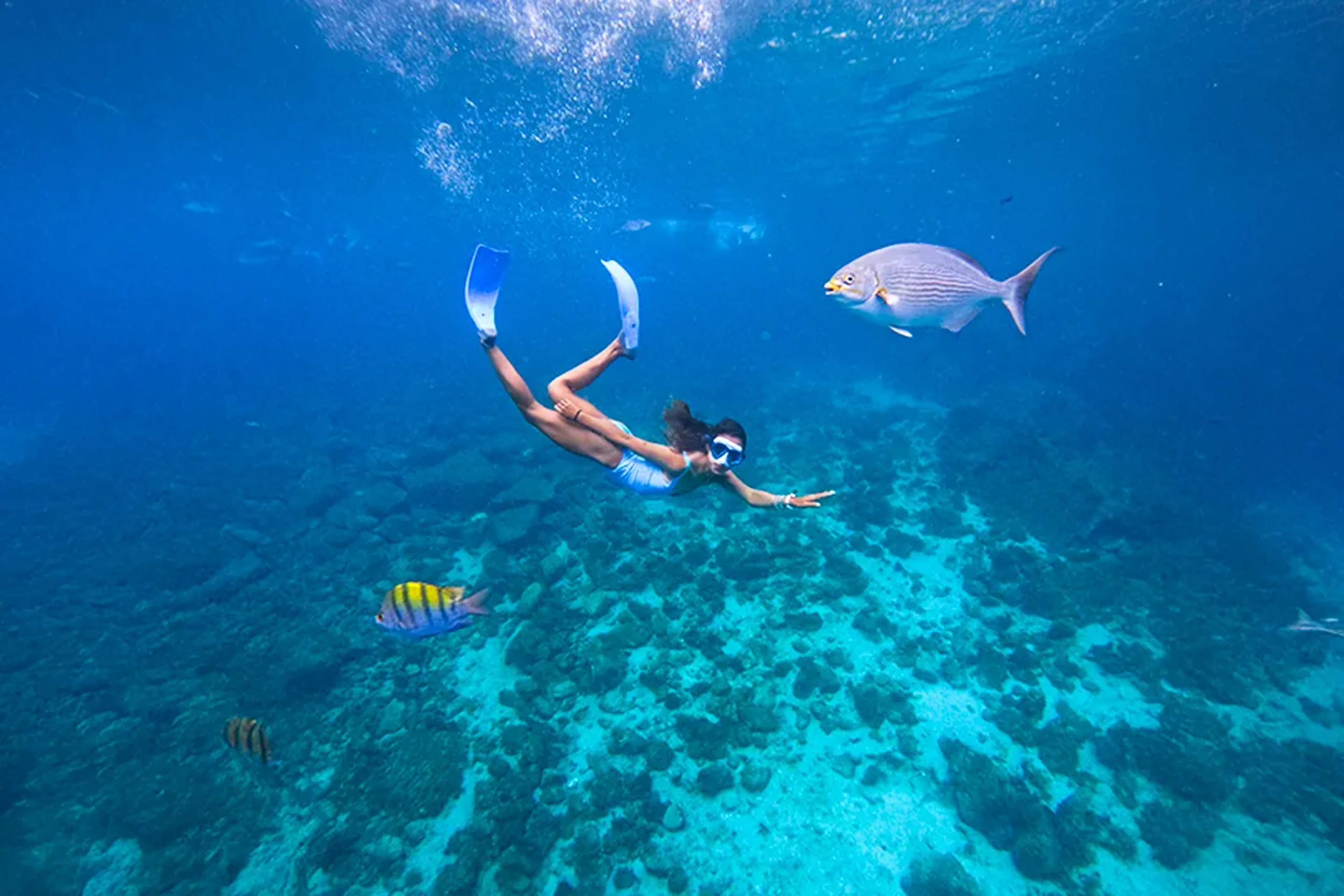 Qué Hacer en Puerto Vallarta con Niños: Las Mejores Actividades