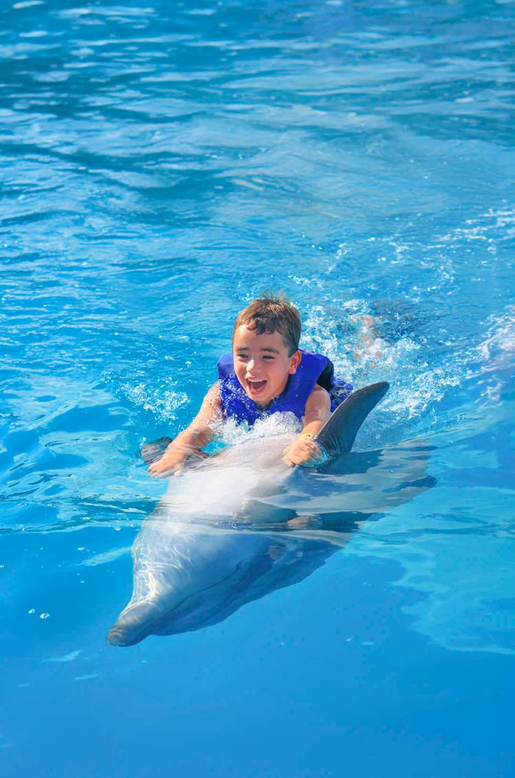Kid swimming with dolphins in Puerto Vallarta.