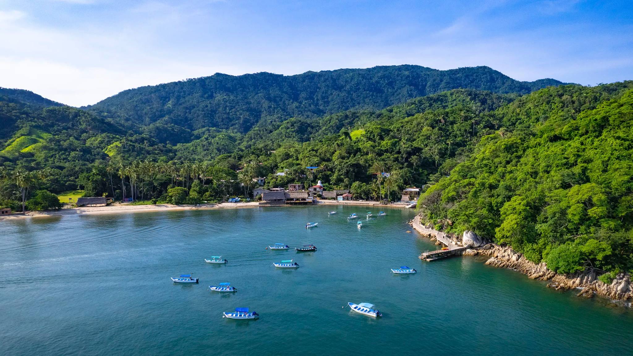 Sea Safari & Beach BBQ | Vallarta Adventures