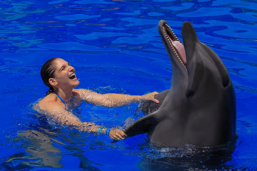A woman with braids and blue swiming suit is holding and laughing with ...