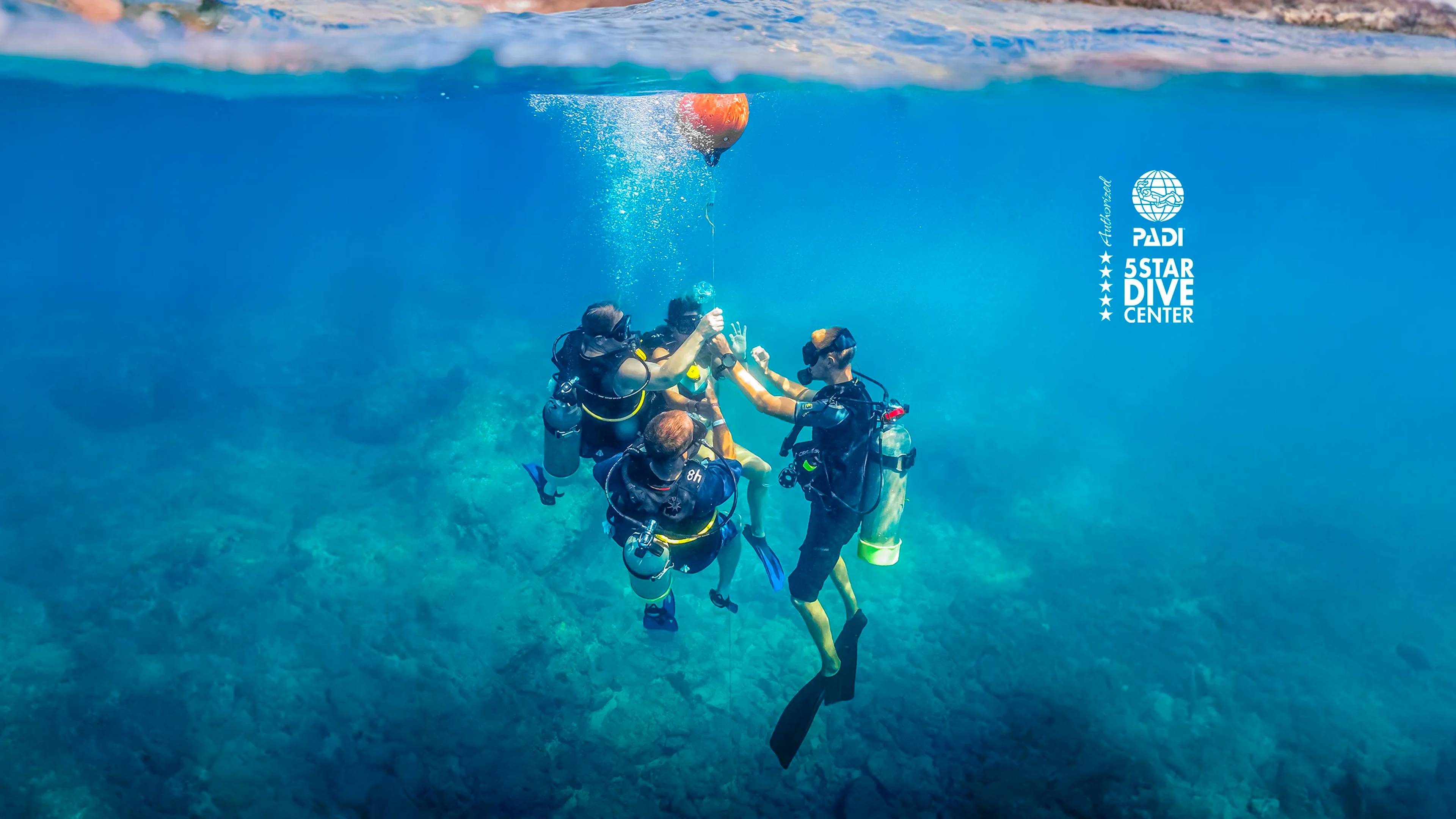 Scuba Diving Lessons & PADI Certifications | Vallarta Adventures